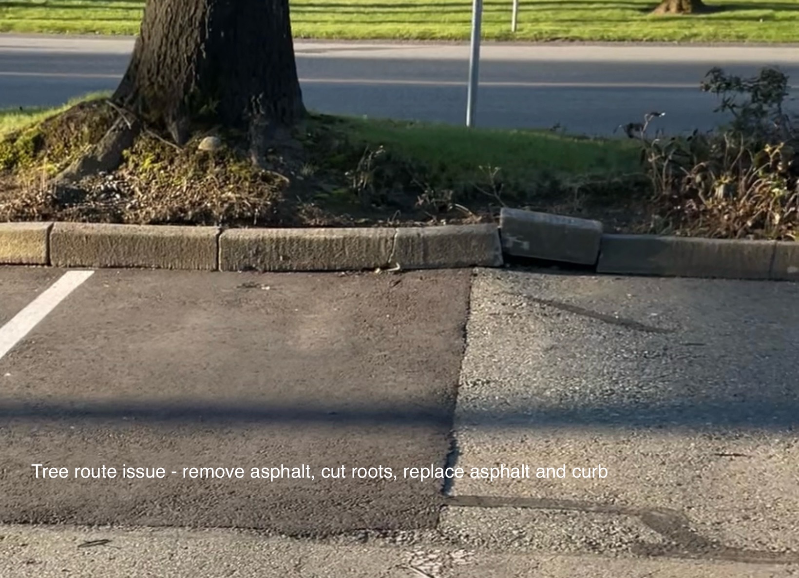 When to Replace Broken Curbs: A Guide for Property Managers and Owners ...